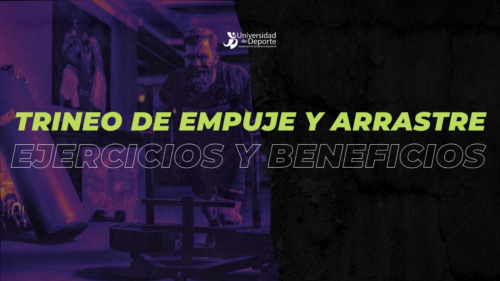Trineo de empuje y arrastre: ejercicios y beneficios - Universidad del ...